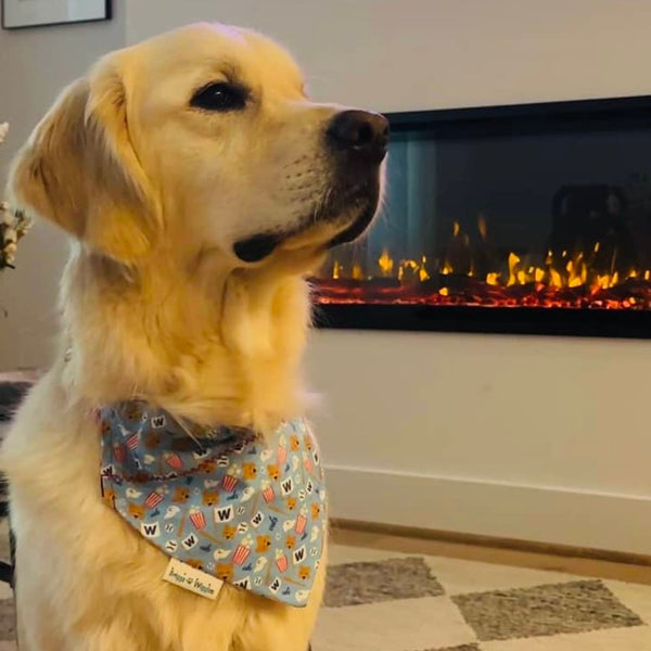 Chicago Cubs Inspired Baseball Dog Bandana